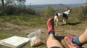 Across Sussex on the New Lipchis Way | wildpilgrims