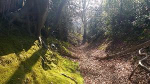 Across Sussex on the New Lipchis Way | wildpilgrims