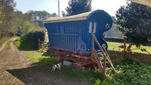 Across Sussex on the New Lipchis Way | wildpilgrims