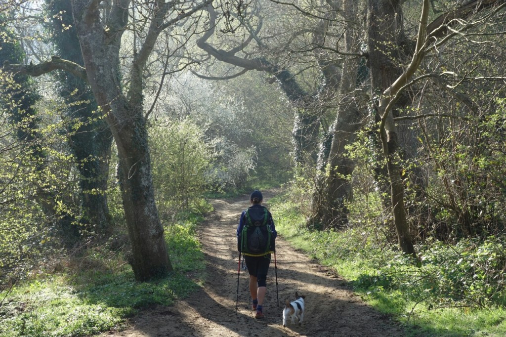 Across Sussex on the New Lipchis Way | wildpilgrims