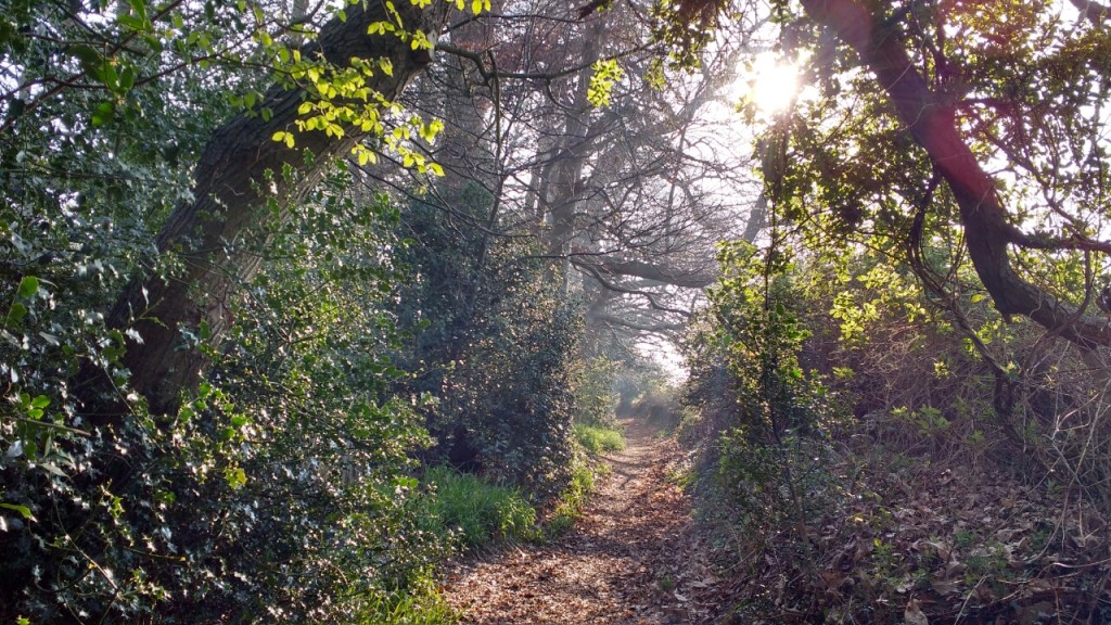 Across Sussex on the New Lipchis Way | wildpilgrims