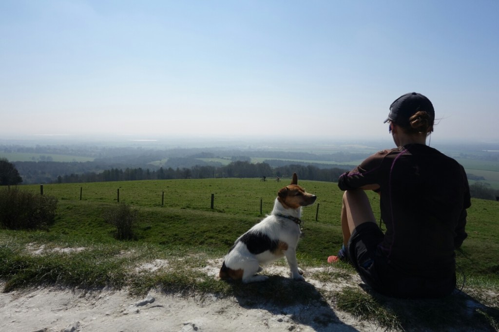 Across Sussex on the New Lipchis Way | wildpilgrims